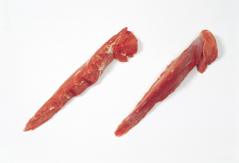 Kalv Indrefilet | Nortura PROFF